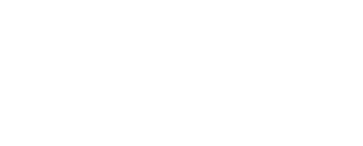 Logo for s&box by sv_kloplo 1 - SteamGridDB