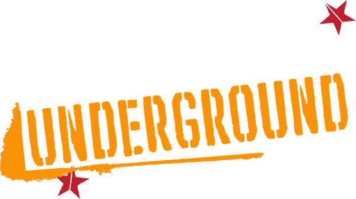 Logo for Tony Hawk's Underground by BANSAKAI - SteamGridDB