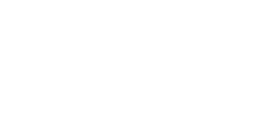 Logo for Crash Bandicoot: N. Sane Trilogy by SeeDborg - SteamGridDB