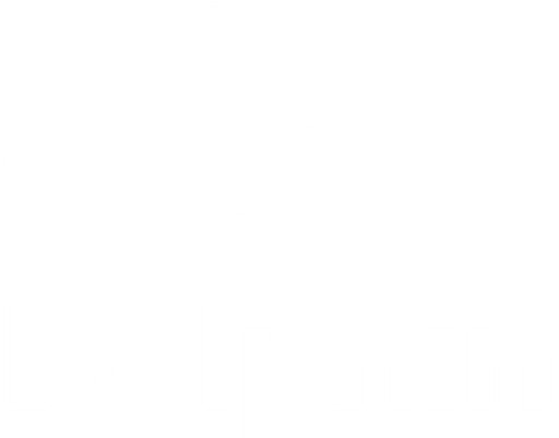 Logo for Dolphin (Emulator) by iiGiovanni - SteamGridDB