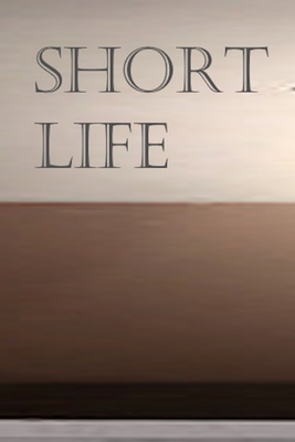 Short Life - SteamGridDB