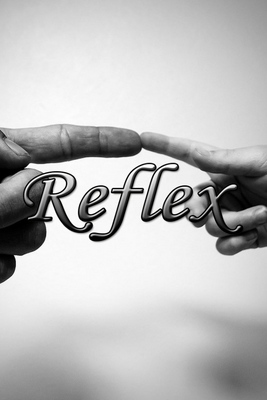 Reflex - SteamGridDB