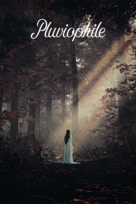 Pluviophile - SteamGridDB