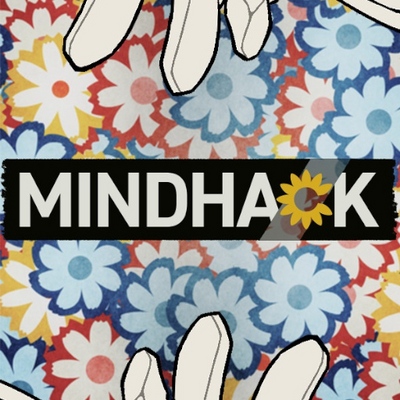 MINDHACK - SteamGridDB