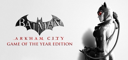 Grid for Batman: Arkham City - Game of the Year Edition by MassiveGoods ...