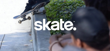 Grid for skate. by Sheytan - SteamGridDB