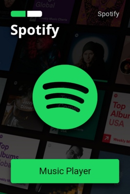 Grid for Spotify (Program) by Firebert - SteamGridDB