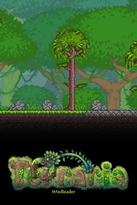 Grid for tModloader (Program) by YMCrank - SteamGridDB