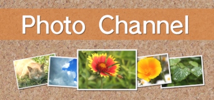 Photo Channel - SteamGridDB