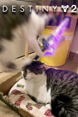 Grid for Destiny 2 by Tyler Sparrow - SteamGridDB