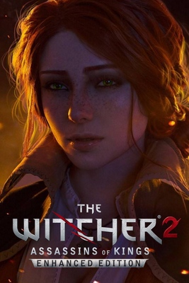 Grid for The Witcher 2: Assassins of Kings by Exciting Frog - SteamGridDB