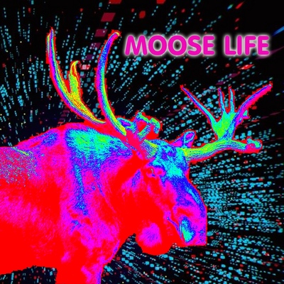 Grid for Moose Life by Devin - SteamGridDB