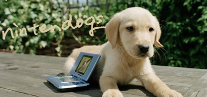 Grid for Nintendogs: Labrador & Friends by skissors - SteamGridDB