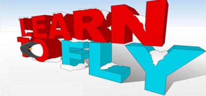 Grid for Learn to Fly by riefu24 - SteamGridDB