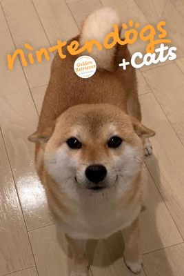 Grid for Nintendogs + Cats: Golden Retriever & New Friends by v44ti - SteamGridDB