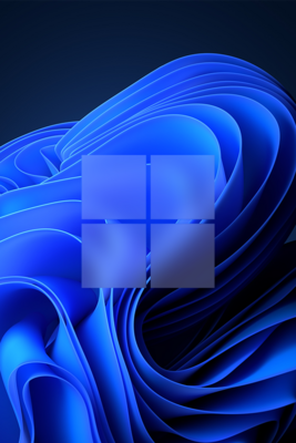 Grid for Microsoft Windows 11 (Operating System) by Agenseed - SteamGridDB