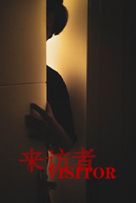 Visitor 来访者 - SteamGridDB