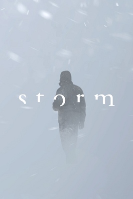 STORM VR - SteamGridDB