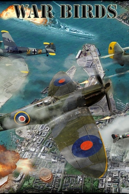 War Birds: WW2 Air strike 1942 - SteamGridDB