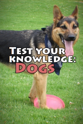 Test your knowledge: Dogs - SteamGridDB