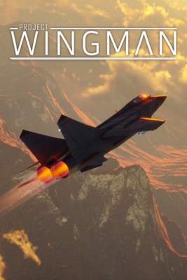 Grid for Project Wingman by transbaconist - SteamGridDB