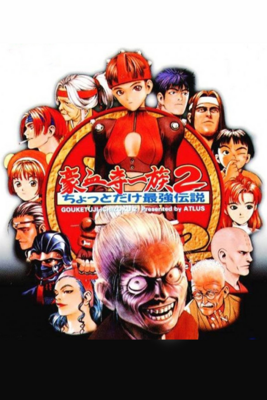 Power Instinct 2 - SteamGridDB