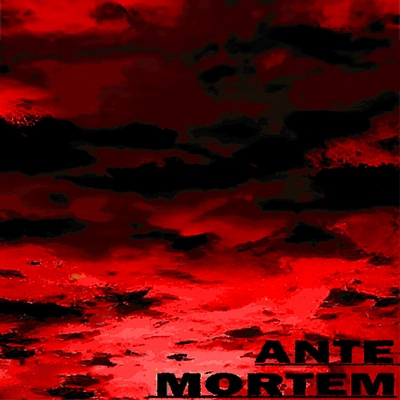 Grid for Ante Mortem by night - SteamGridDB