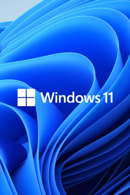 Grid for Microsoft Windows 11 (Operating System) by Viator_ - SteamGridDB