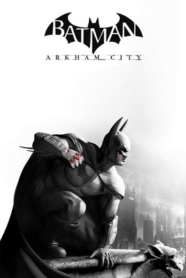 Grid for Batman: Arkham City - Game of the Year Edition by swavmirj ...