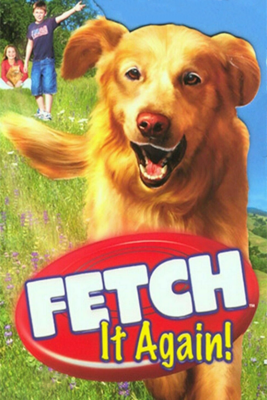 Fetch It Again - SteamGridDB