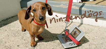 Grid for Nintendogs: Dachshund & Friends by skissors - SteamGridDB