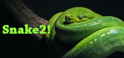 Snake 2 - SteamGridDB