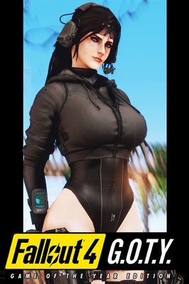 Grid for Fallout 4 by Nemelles - SteamGridDB