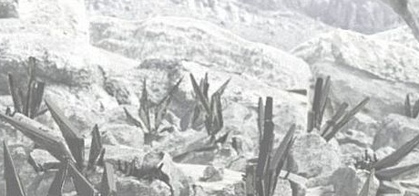 Grid for 3DMark (Program) by Deiru - SteamGridDB