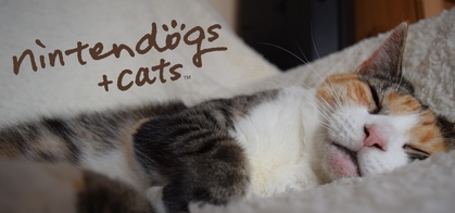 Grid for Nintendogs + Cats: Toy Poodle & New Friends by Pine - SteamGridDB