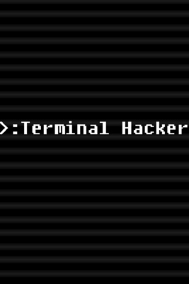 Terminal Hacker - SteamGridDB