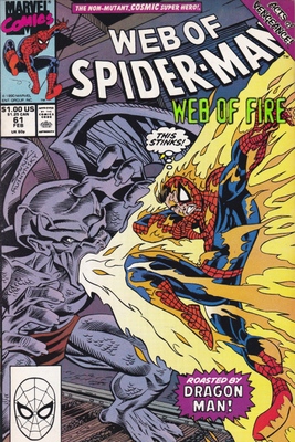 Spider-Man: Web of Fire - SteamGridDB