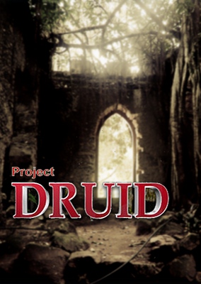 Grid for Project Druid - 2D Labyrinth Explorer- by ViralStrike - SteamGridDB