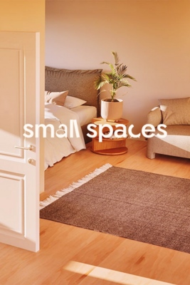 Small Spaces - SteamGridDB