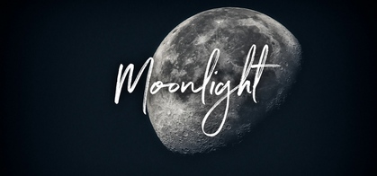 Grid for Moonlight by littleCERBERUS - SteamGridDB