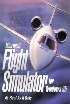 Microsoft Flight Simulator for Windows 95 - SteamGridDB