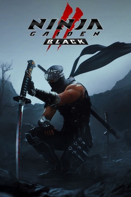 Grid for NINJA GAIDEN 2 Black by AdventureDarkest - SteamGridDB