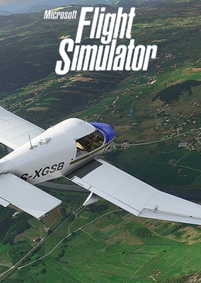 Grid for Microsoft Flight Simulator by Notorum - SteamGridDB
