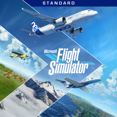 Grid for Microsoft Flight Simulator by MohanadSinan - SteamGridDB