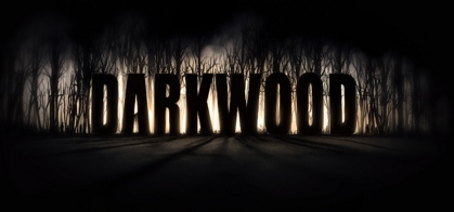 Grid for Darkwood by Luckspeare - SteamGridDB