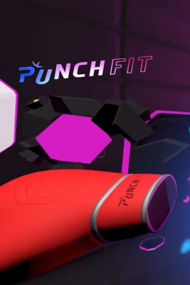 PUNCH FIT - SteamGridDB