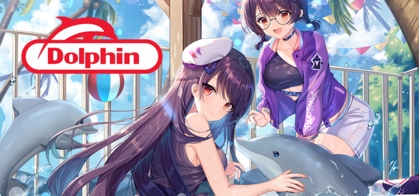 Grid for Dolphin (Emulator) by nullmoon - SteamGridDB