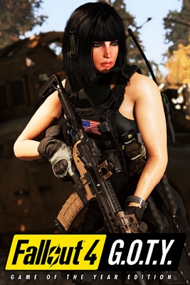 Grid for Fallout 4 by Nemelles - SteamGridDB