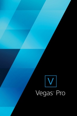Grid for Vegas Pro by Julia - SteamGridDB