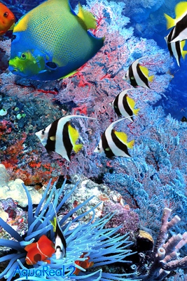 Grid for DigiFish Aqua Real 2 by YMCrank - SteamGridDB